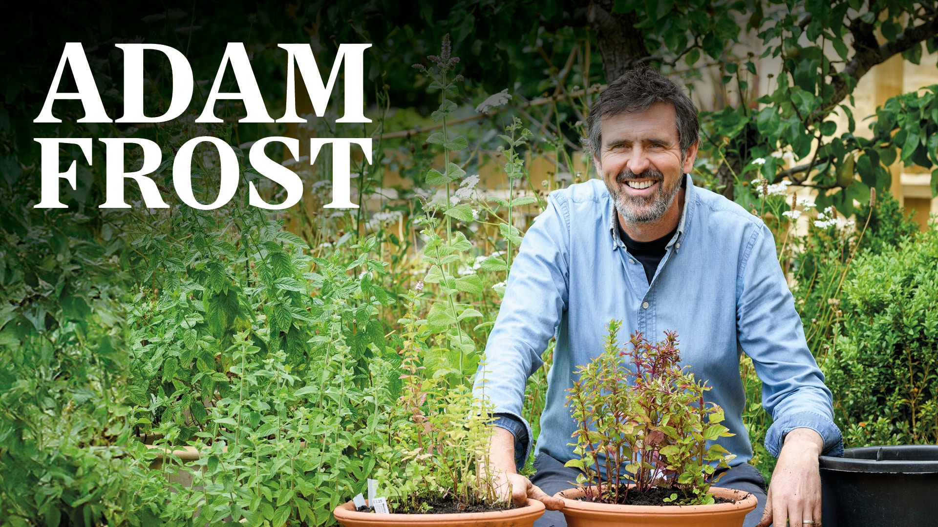 Adam Frost - Mercury Theatre